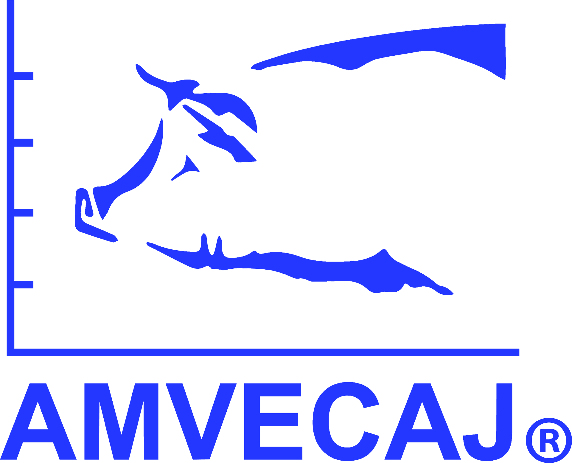 Home | Website AMVECAJ